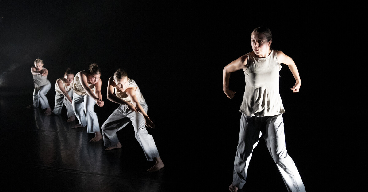 BA Student Showcase | The Place